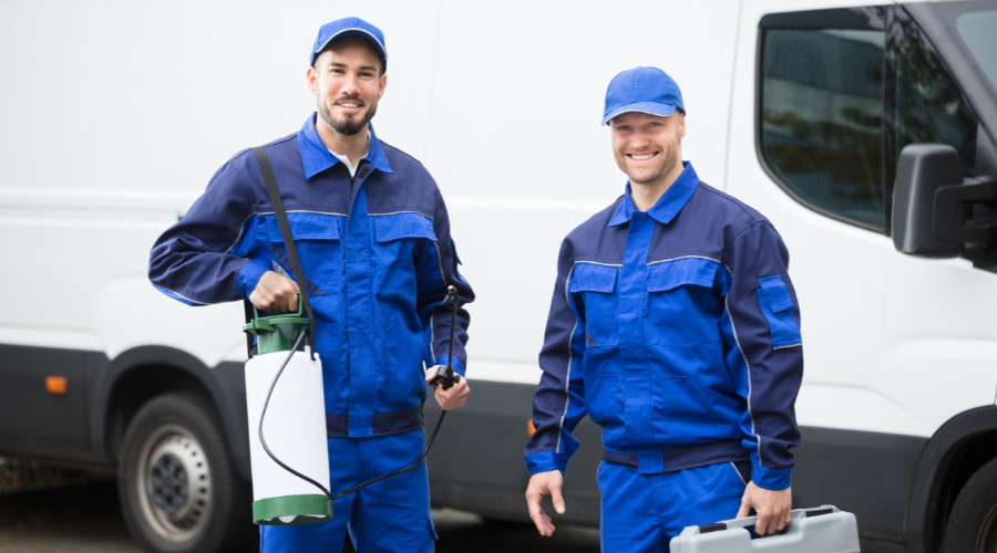 How to Choose The Best Pest Control Company - 7 Pro Tips